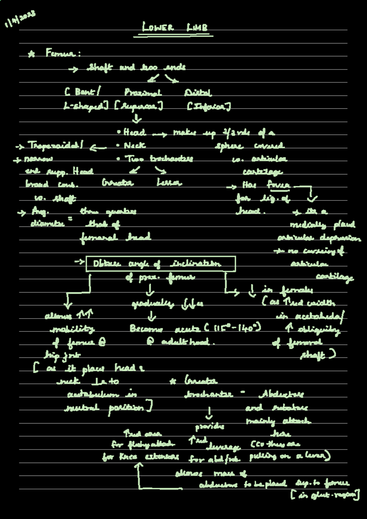 Anatomy structures - Medical Terminology - Studocu
