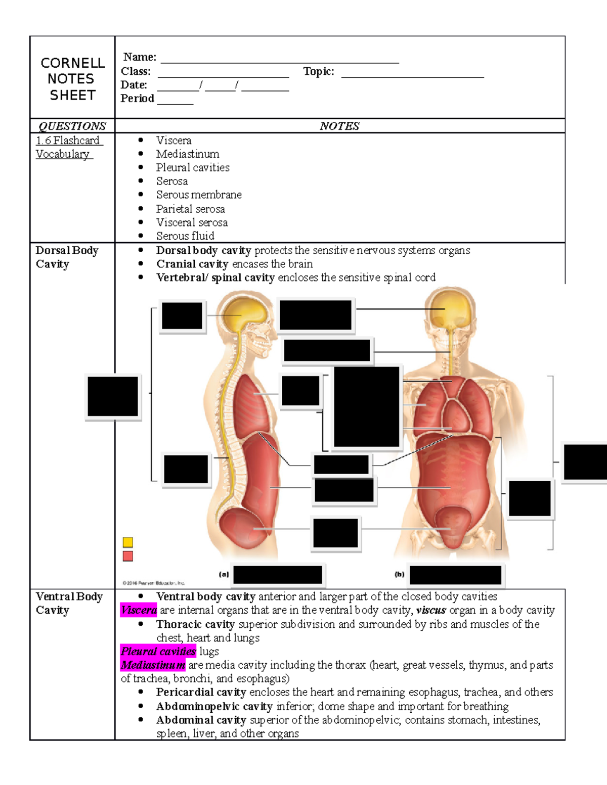 Chapter 1 The Human Body An Orientation 1.6 - CORNELL NOTES SHEET Name ...