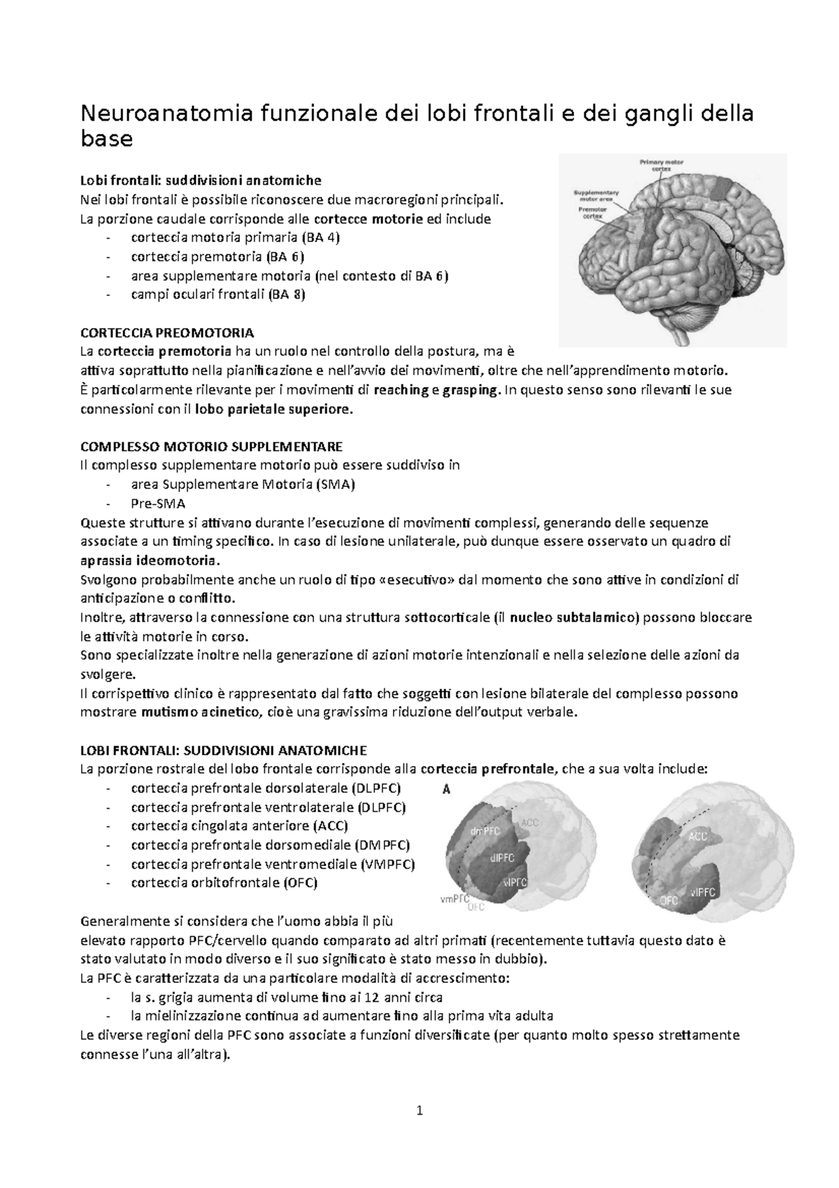 5. Neuroanatomia funzionale dei lobi frontali e dei gangli della base ...