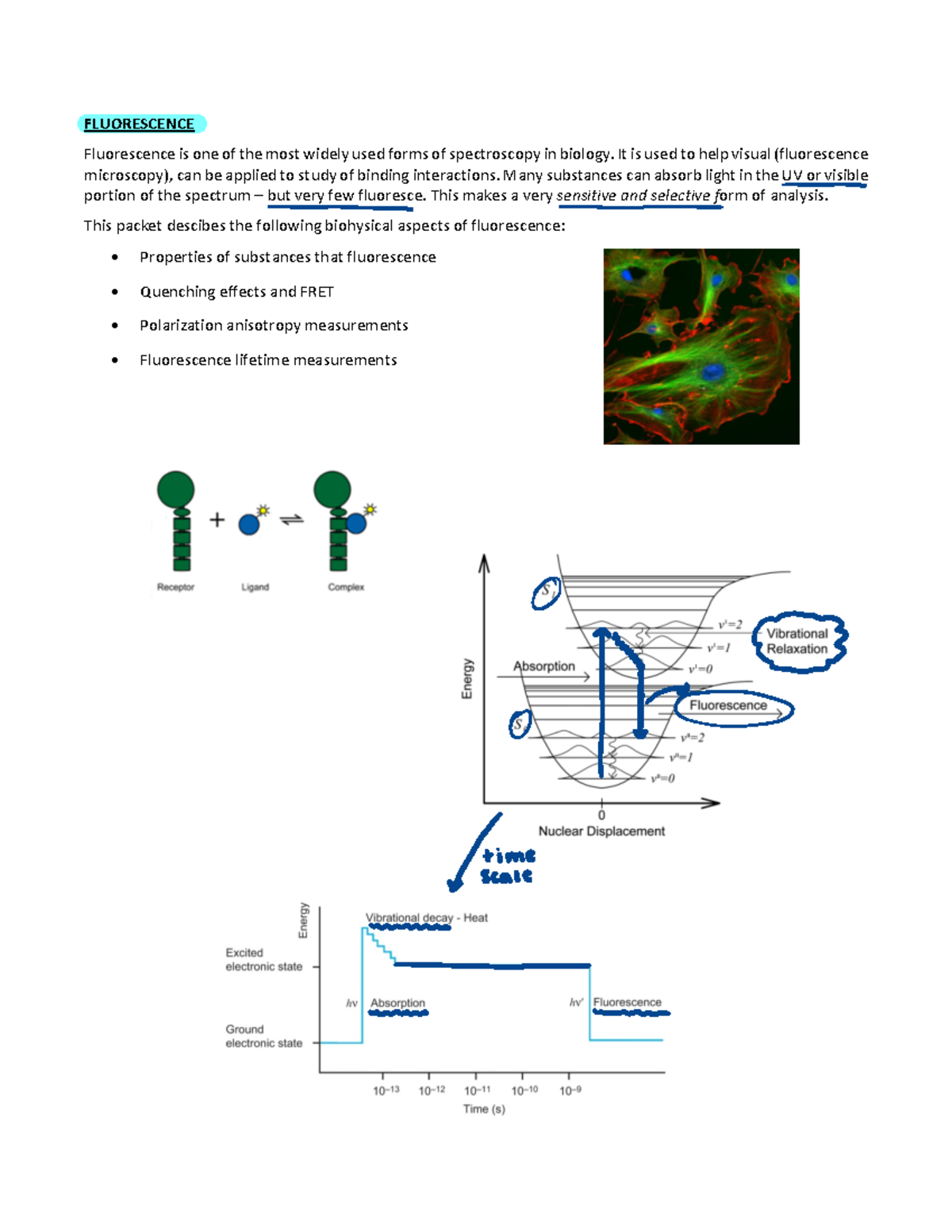 Packet 21 Fluorescence Spectroscopy - FLUORESCENCE Fluorescence is one ...