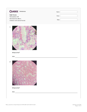 Chapter 4 Tissues - Tissues TISSUES AND HISTOLOGY Tissues – groups of ...