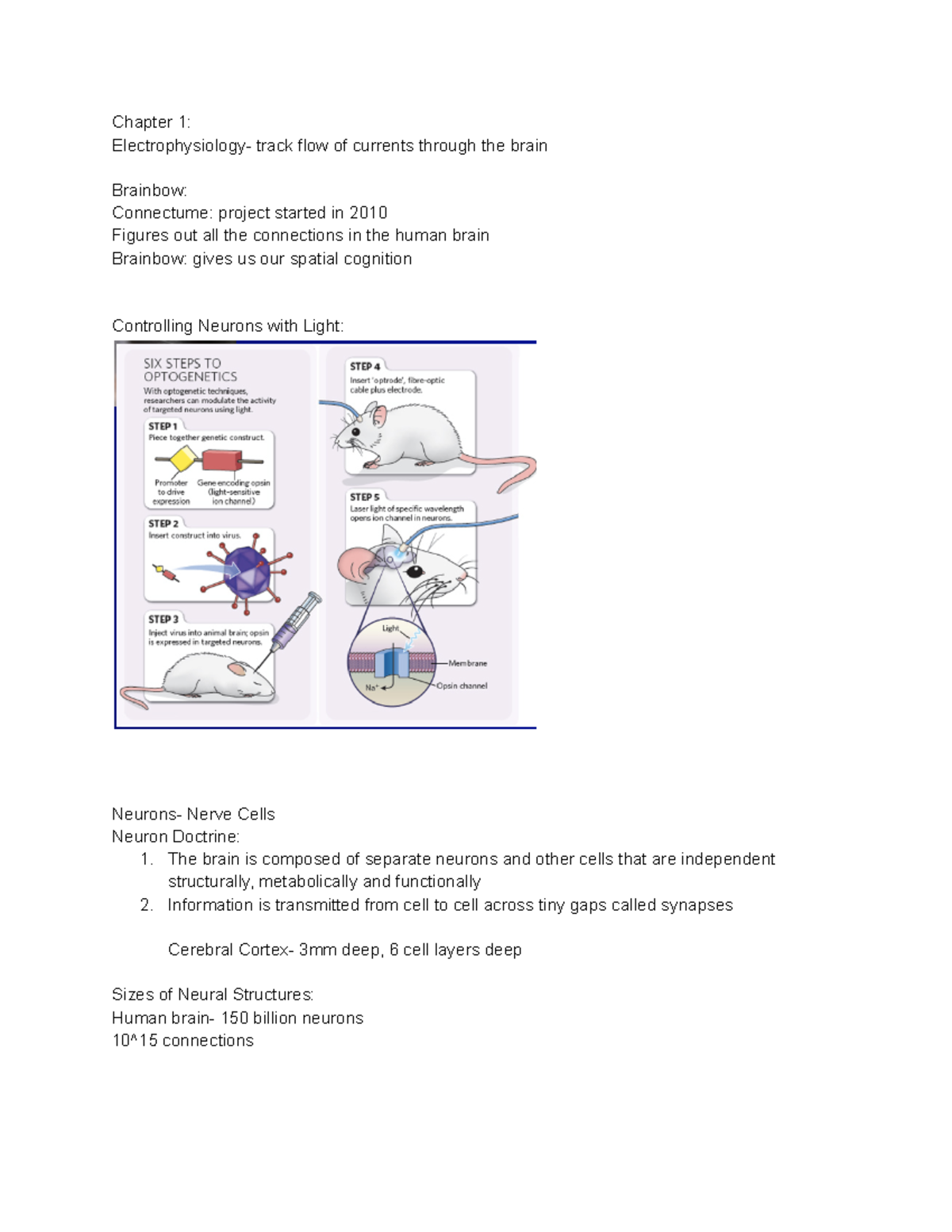 Class Notes Neuro - Chapter 1 - Chapter 1: Electrophysiology- track ...
