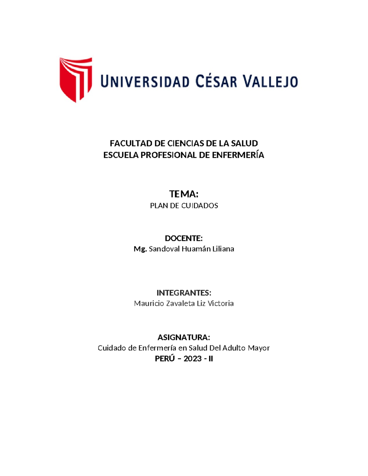 Plan de cuidados VACAm - FACULTAD DE CIENCIAS DE LA SALUD ESCUELA ...