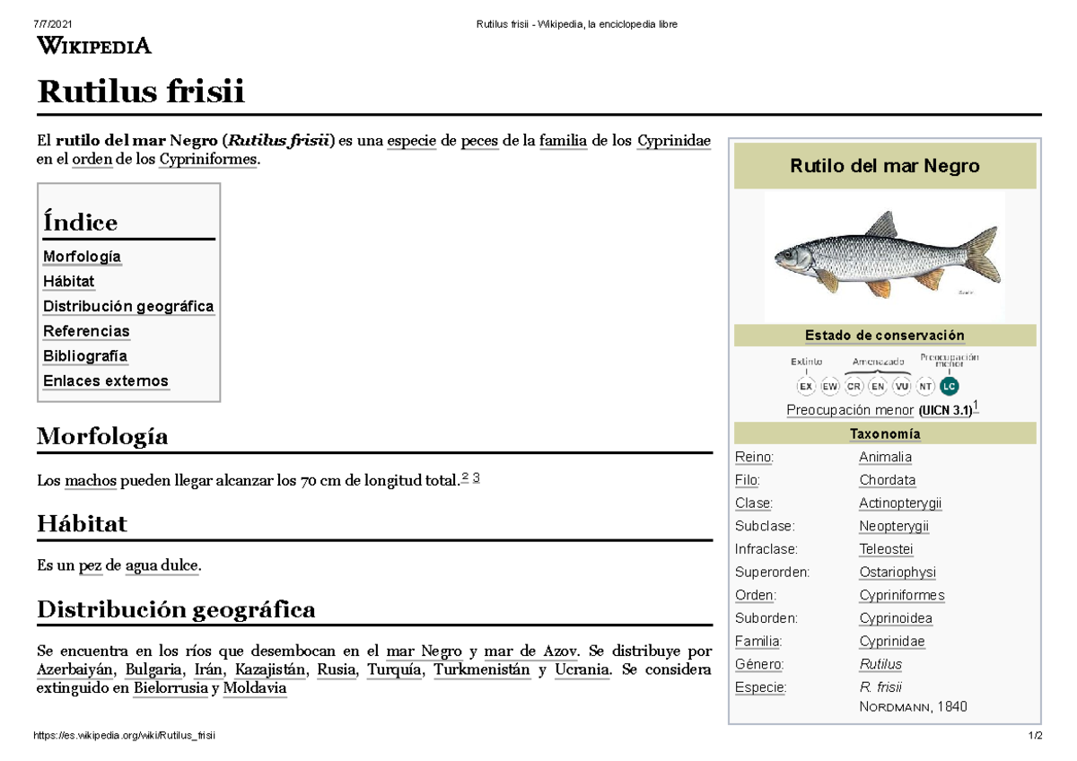 Rutilus frisii - Wikipedia, la enciclopedia libre - wikipedia/wiki ...