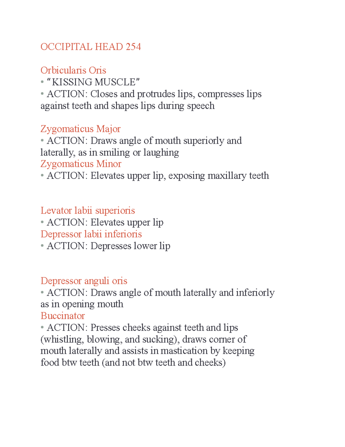 Occipital HEAD 254 - OCCIPITAL HEAD 254 Orbicularis Oris “KISSING ...