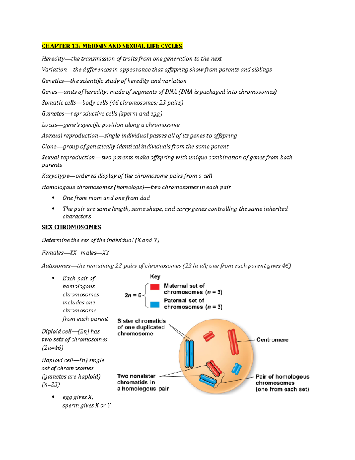 Bio notes 3 - instructor: Tyler Hodges - CHAPTER 13: MEIOSIS AND SEXUAL ...
