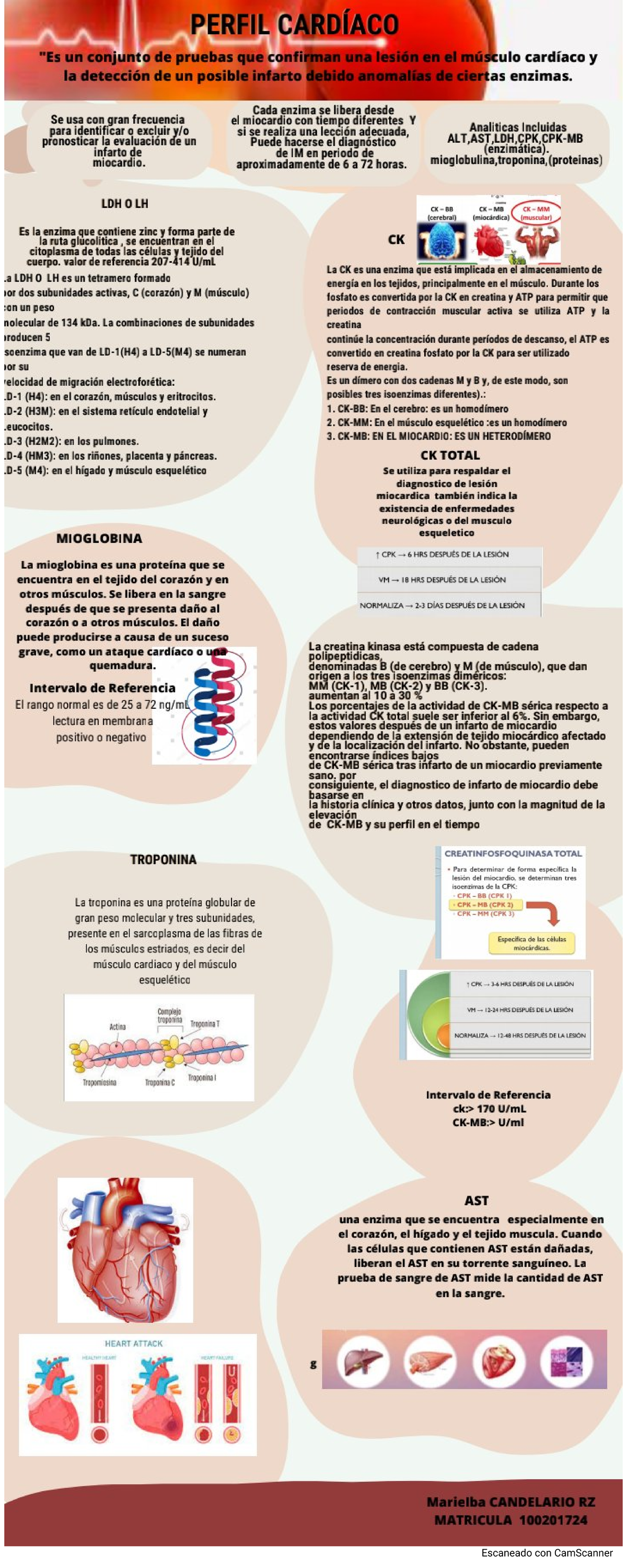 Infografia perfil cardiaco. - Química Clínica II - Studocu