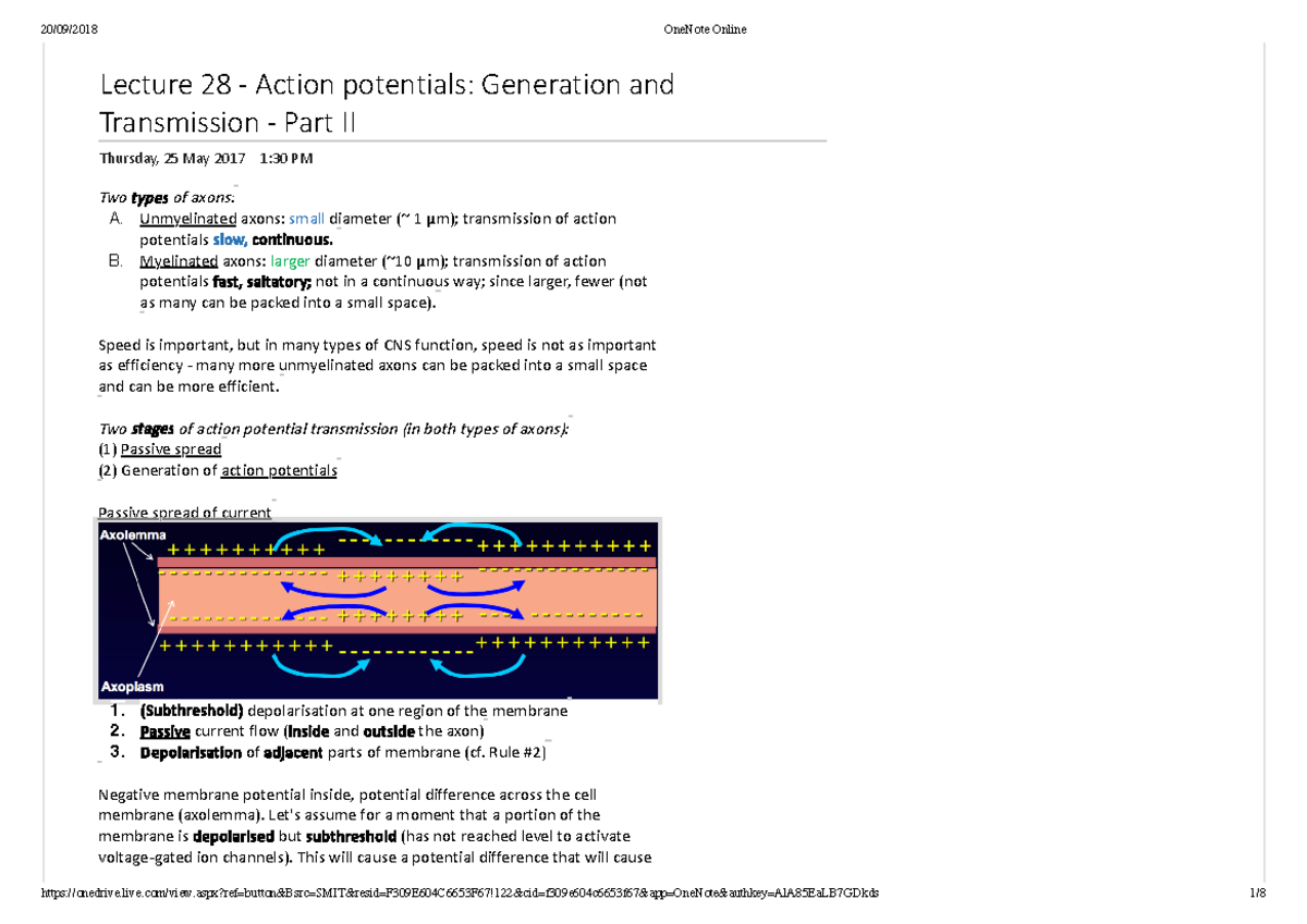 Lecture 28 - OneNote Online Lecture 28 Action potentials: Generation ...
