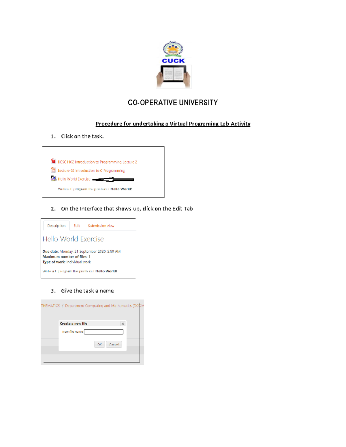 Procedure for undertaking a Lab Activity - Introduction to Programming ...
