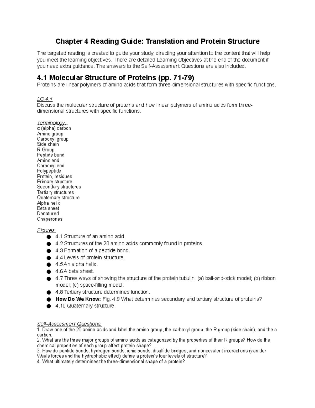 Chapter 4 Reading Guide: Translation and Protein Structure - Studocu