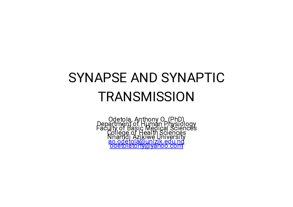 Synapse AND Synaptic Transmission, PDF. - SYNAPSE AND SYNAPTIC ...