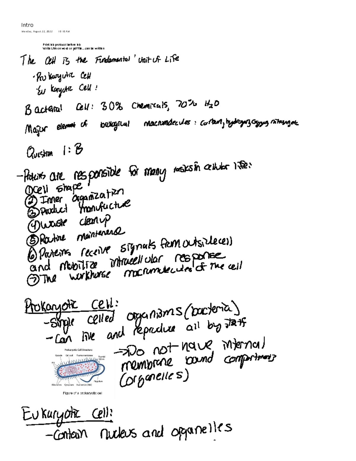 BIOG140 Test1 Notes - Print lab protocol before lab Write LNA on word ...