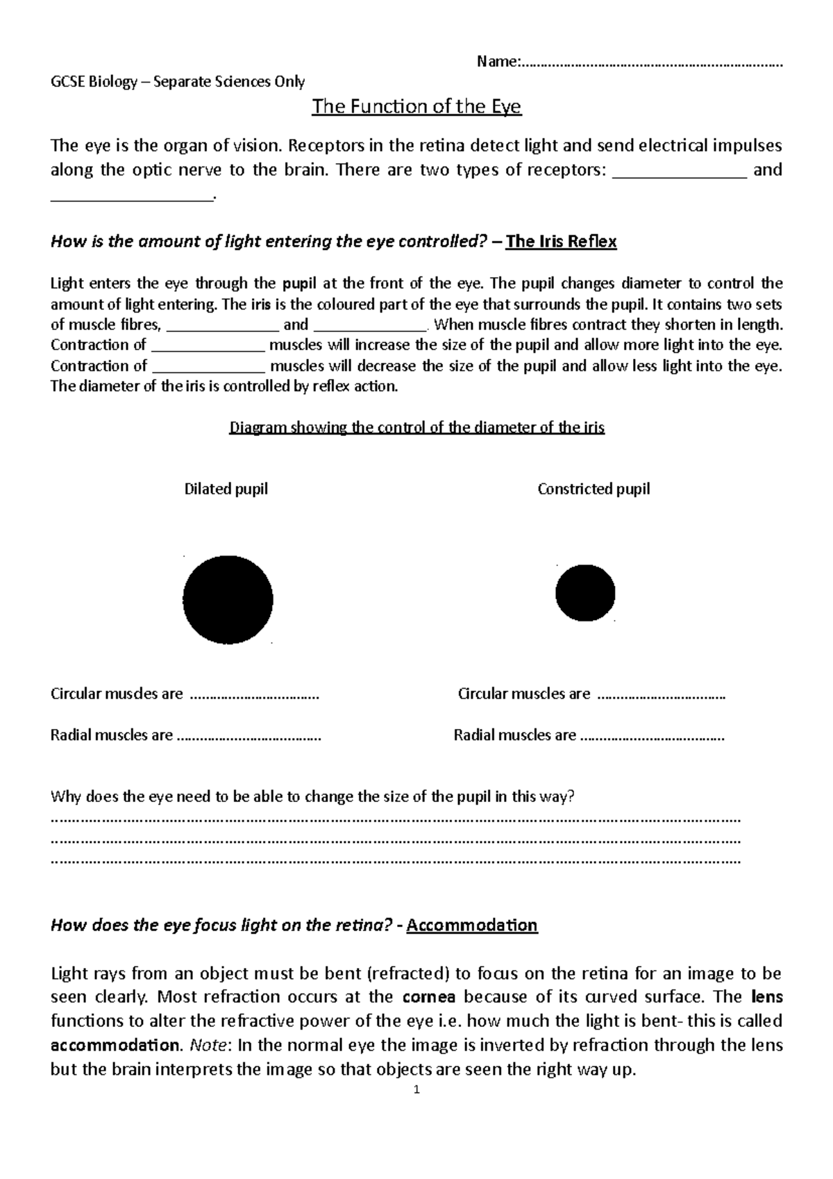 The Function of the Eye Worksheet - - Studocu