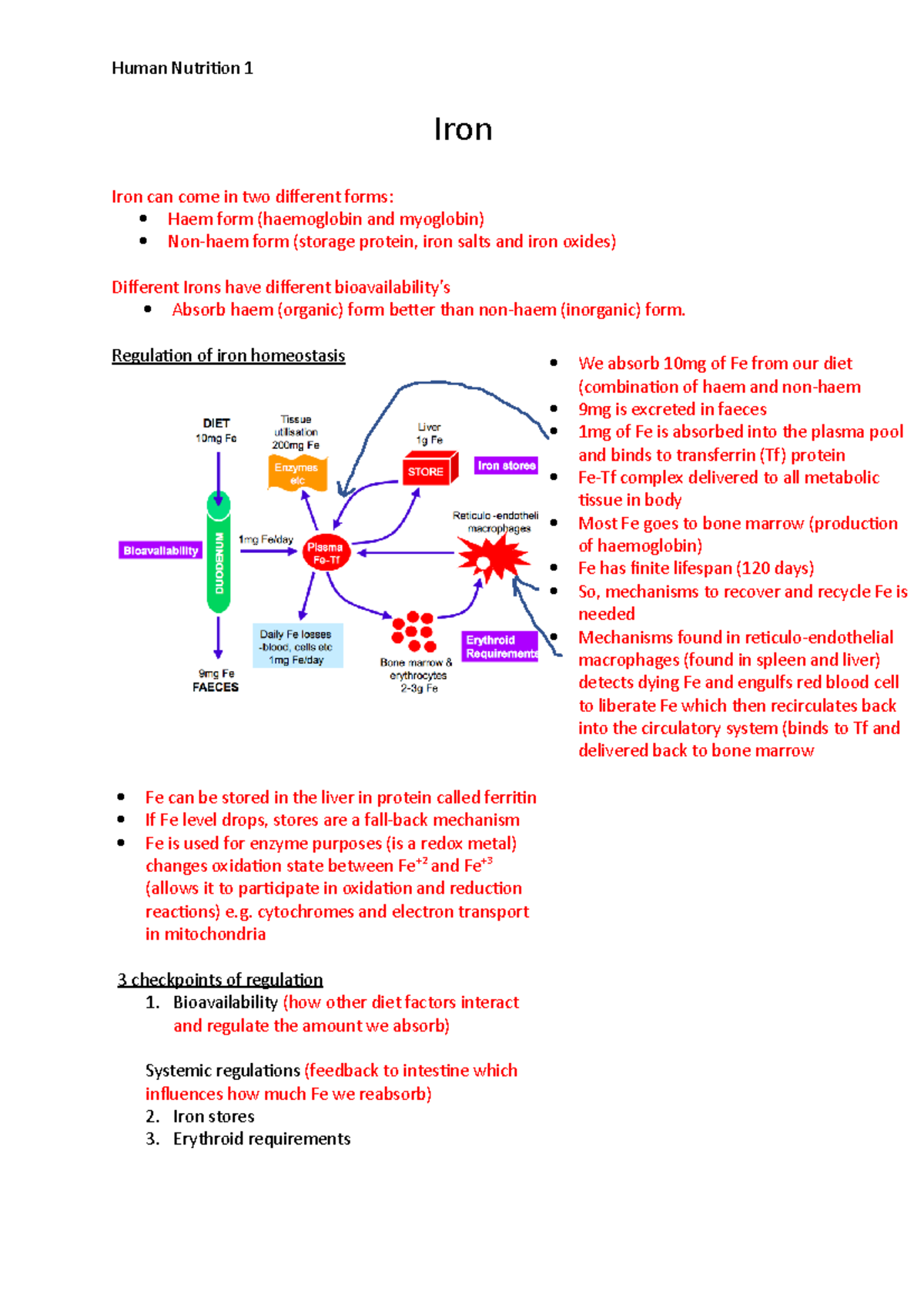 Human nutrition 1-Iron - Iron Iron can come in two different forms ...