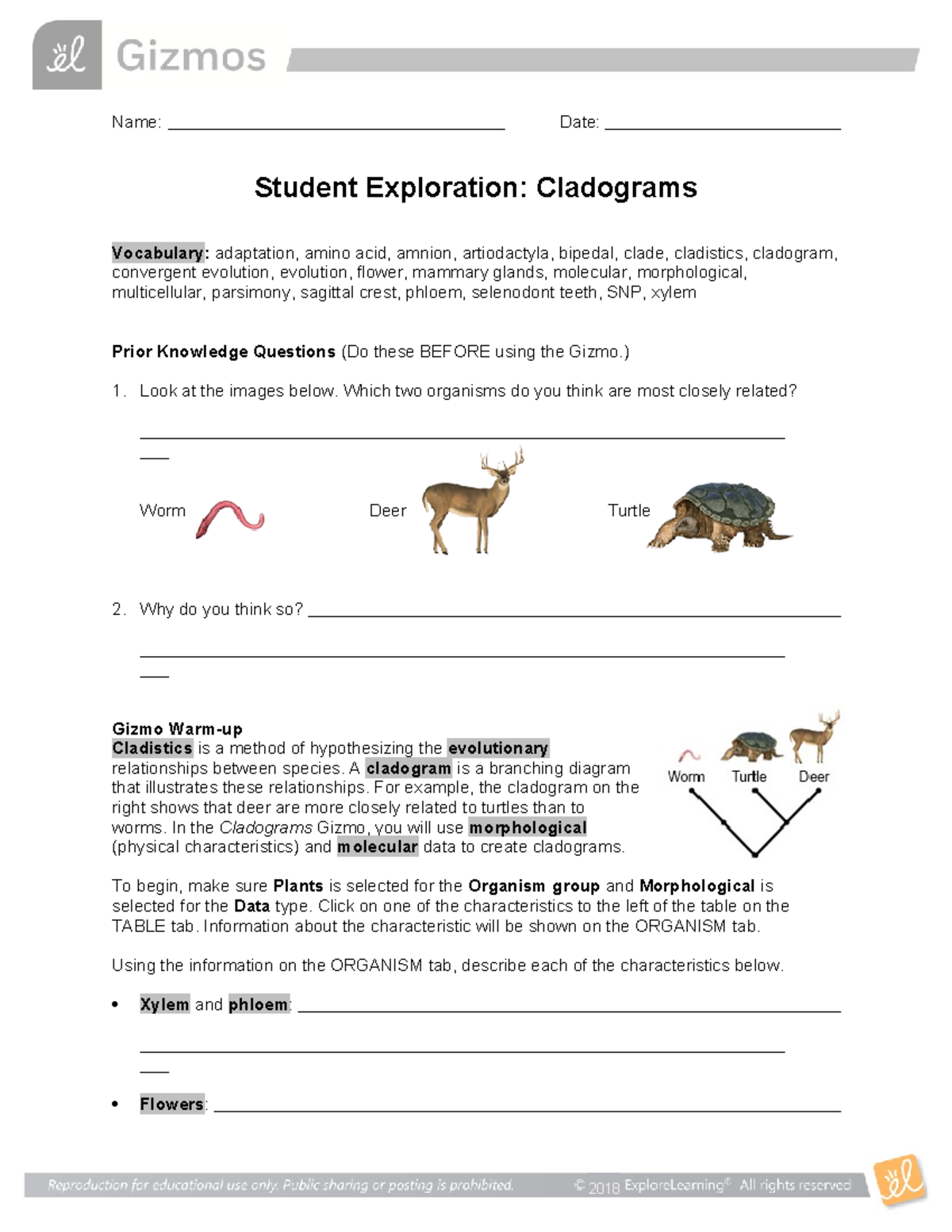Cladograms SE - thghgh - Name: Date: Student Exploration: Cladograms ...