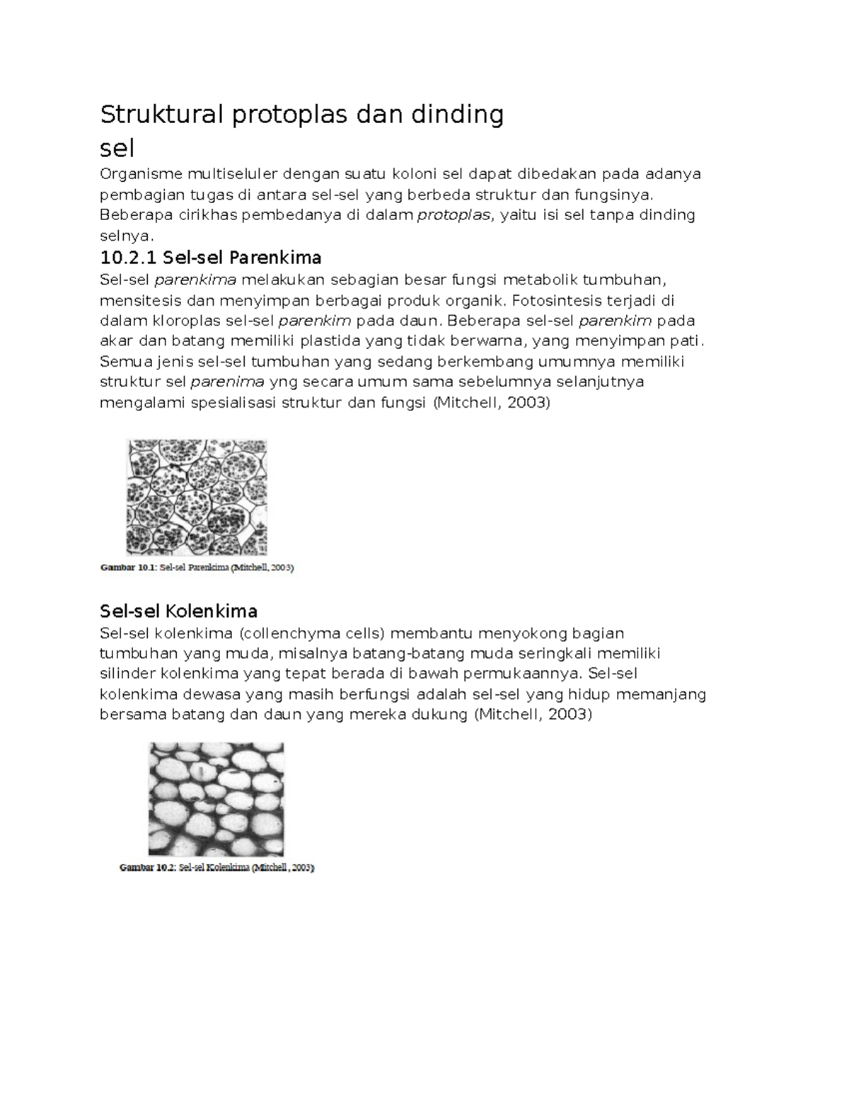 Struktural protoplas dan dinding - Struktural protoplas dan dinding sel ...