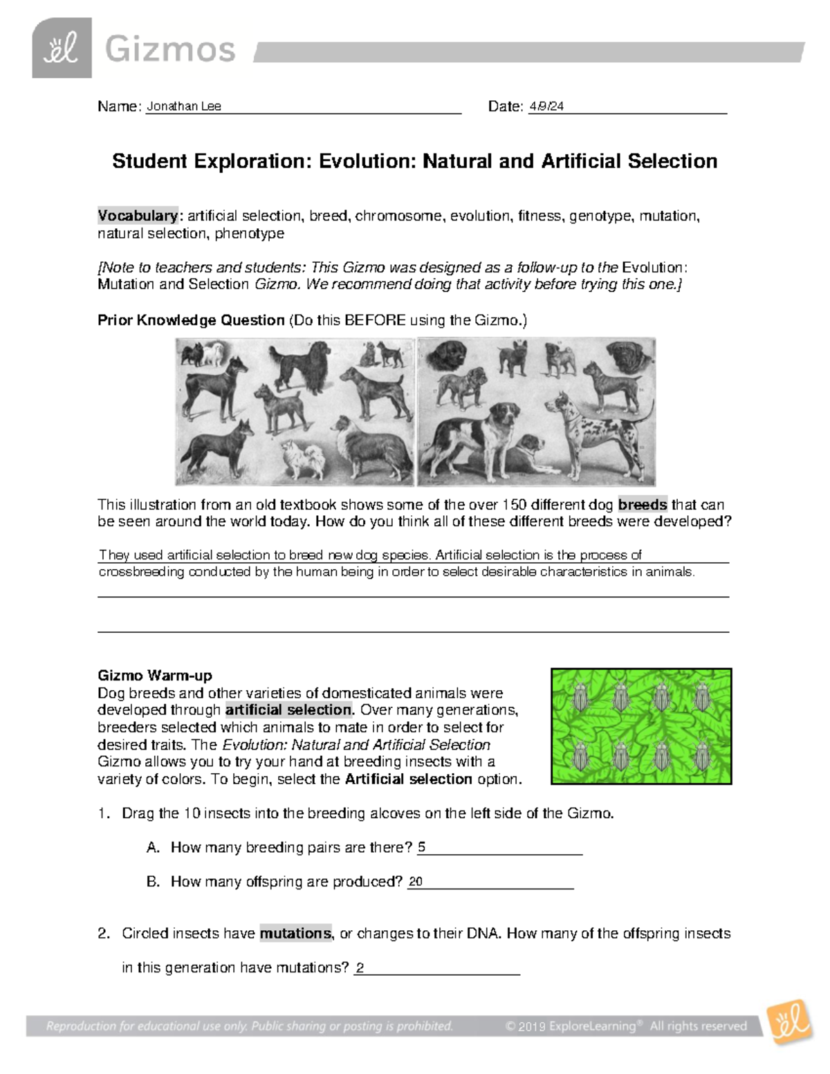 Evolution Natural Artificial SE - Name ...