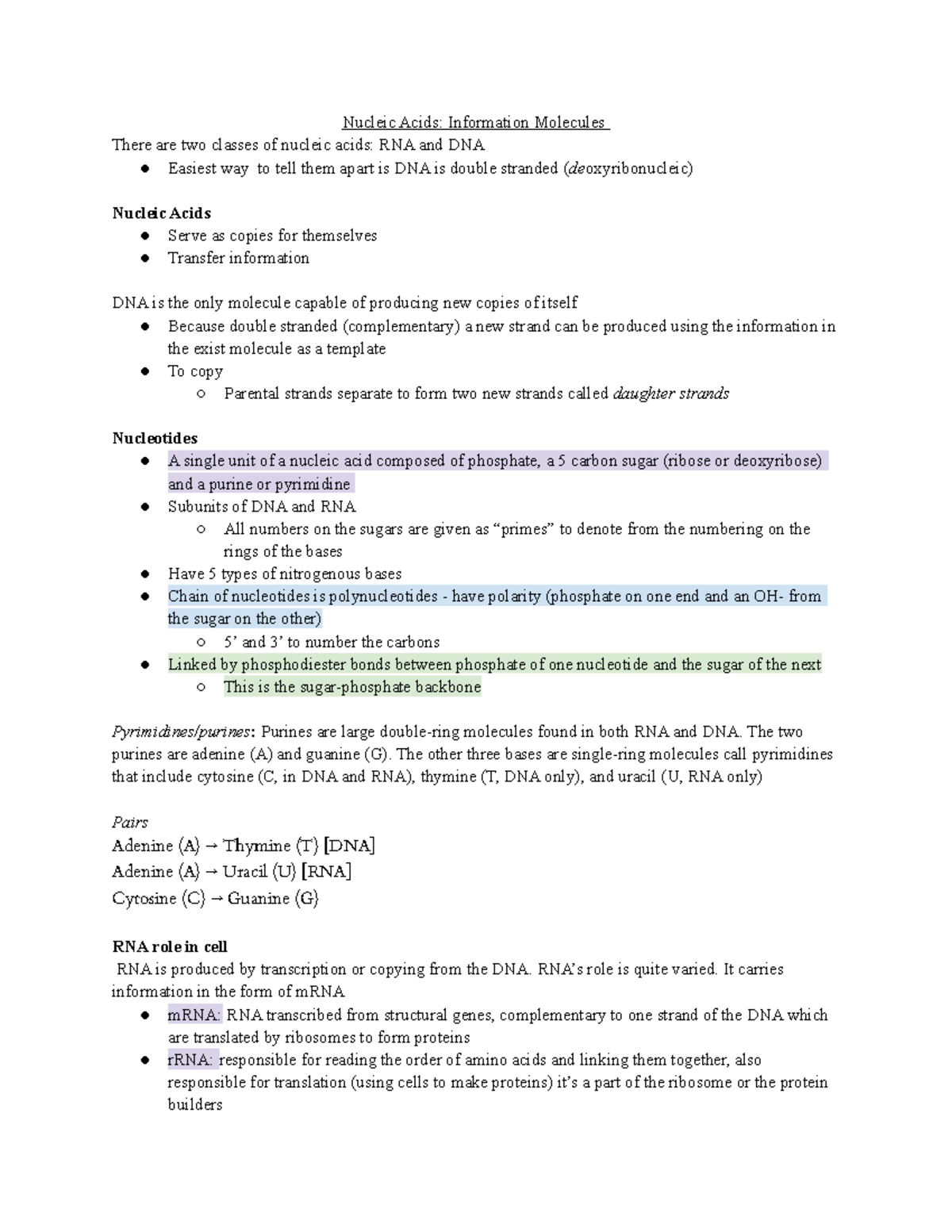 Chapter 3 section 3 - Reading Assignment - Nucleic Acids: Information ...