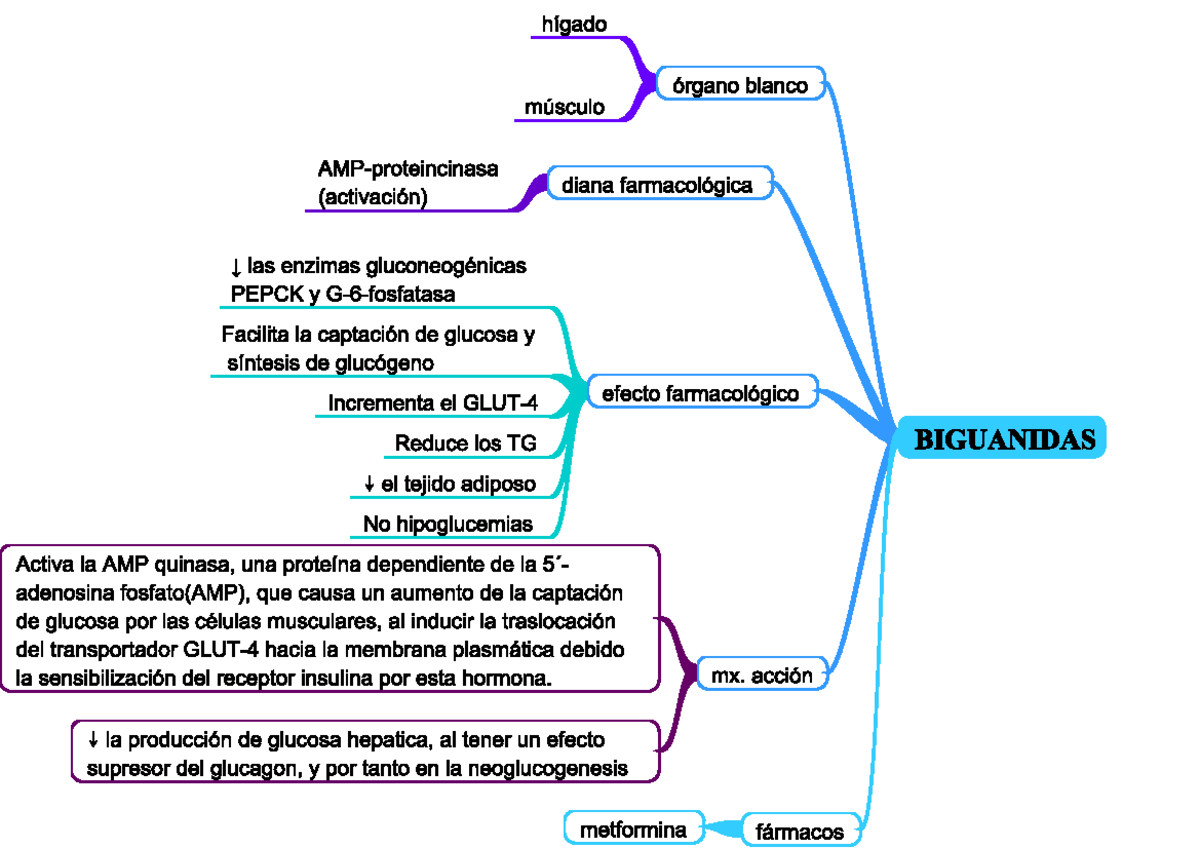 Taller 44 Biguanidas - Resumen Farmacologia Basica - StuDocu