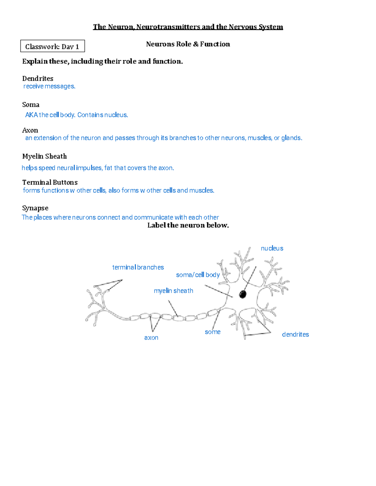 Kami Export - Isabella Lord - Neurons, Neurotransmission, Nervous ...