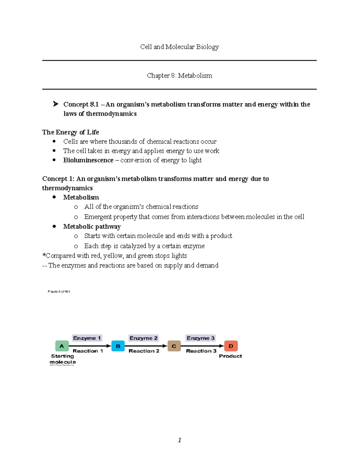 Quia Ap Chapter 8 An Introduction To Metabolism Detailed The Diagram ...