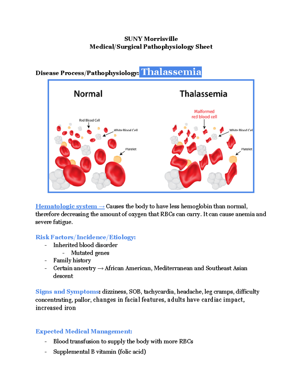 Pathosheet - Patho sheet on Beta Thalassemia - SUNY Morrisville Medical ...