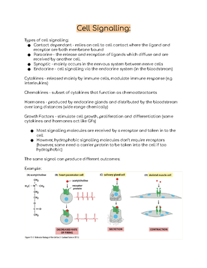 Mechanisms OF Protein Regulation - MECHANISMS OF PROTEIN REGULATION ...