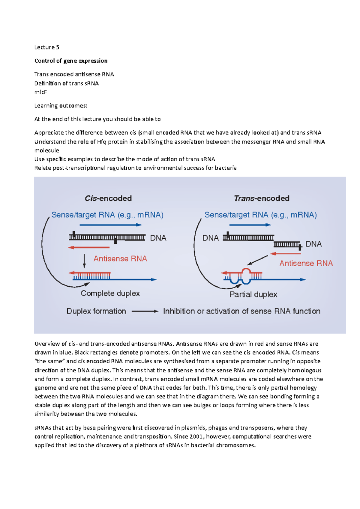 Control of gene expressions - lecture 5 - keith - Lecture 5 Control of ...
