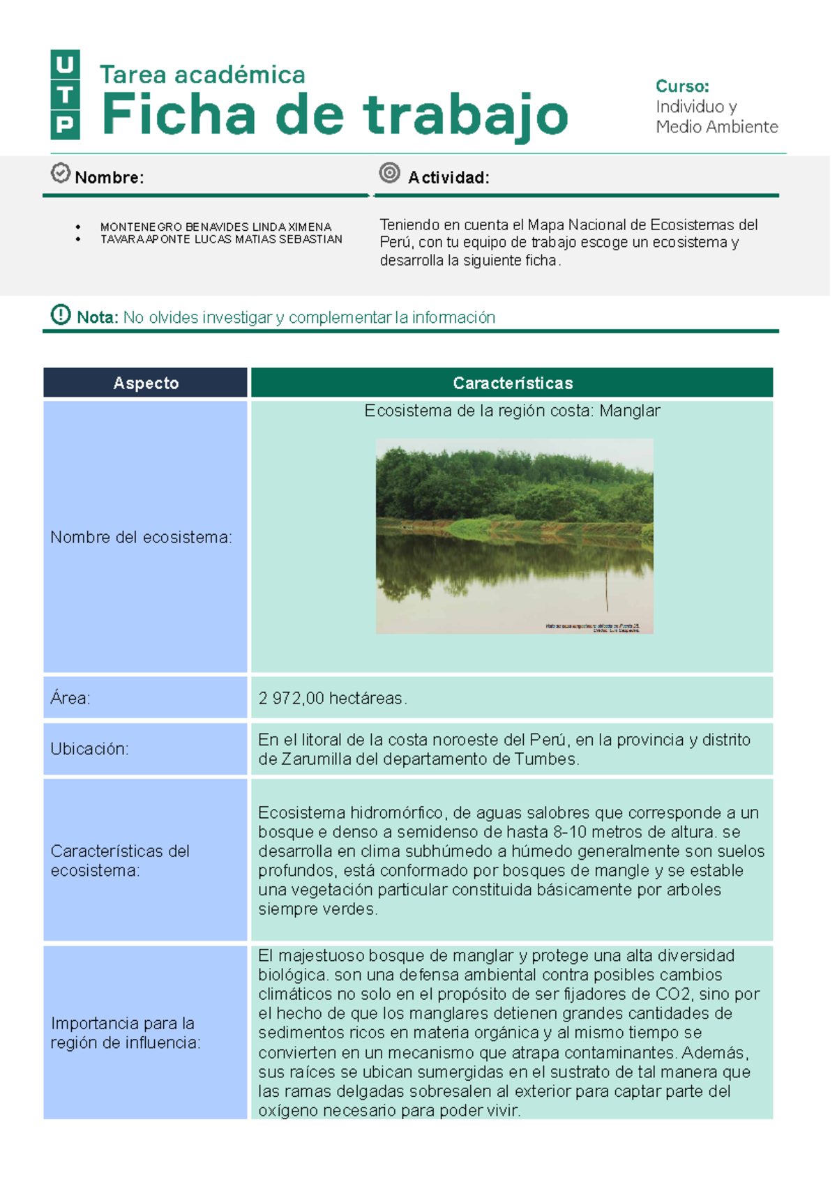 semana3 individuo - Nombre: Actividad: MONTENEGRO BENAVIDES LINDA ...