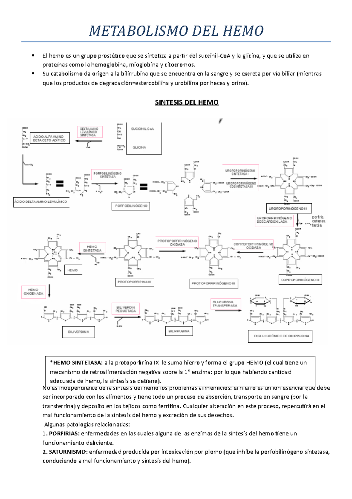 Metabolismo DEL HEMO - METABOLISMO DEL HEMO El hemo es un grupo ...