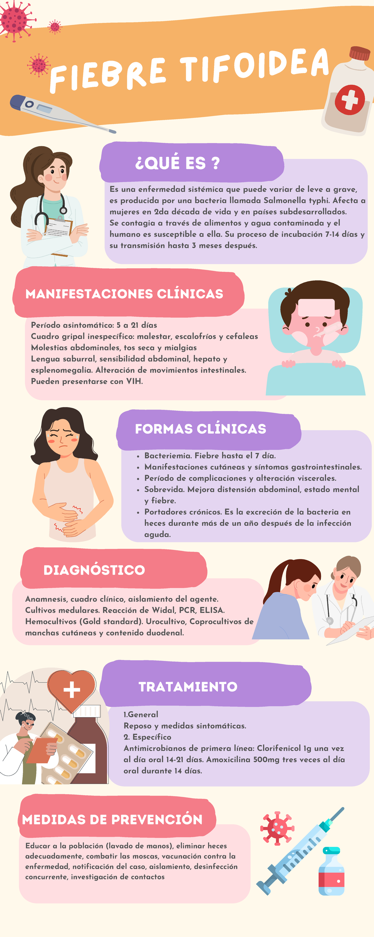 Fiebre Tifoidea Oral Información Para El Viajero – LEKPU