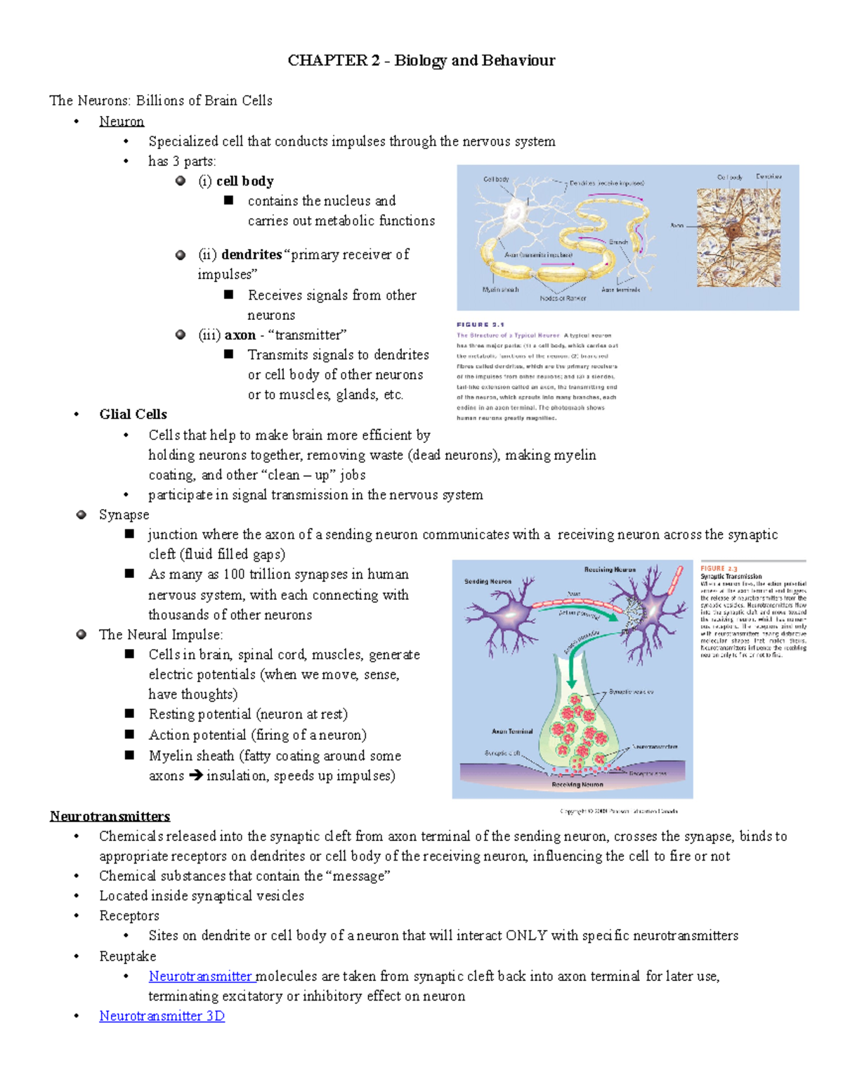 Chapter 2 Psych - CHAPTER 2 - Biology and Behaviour The Neurons ...