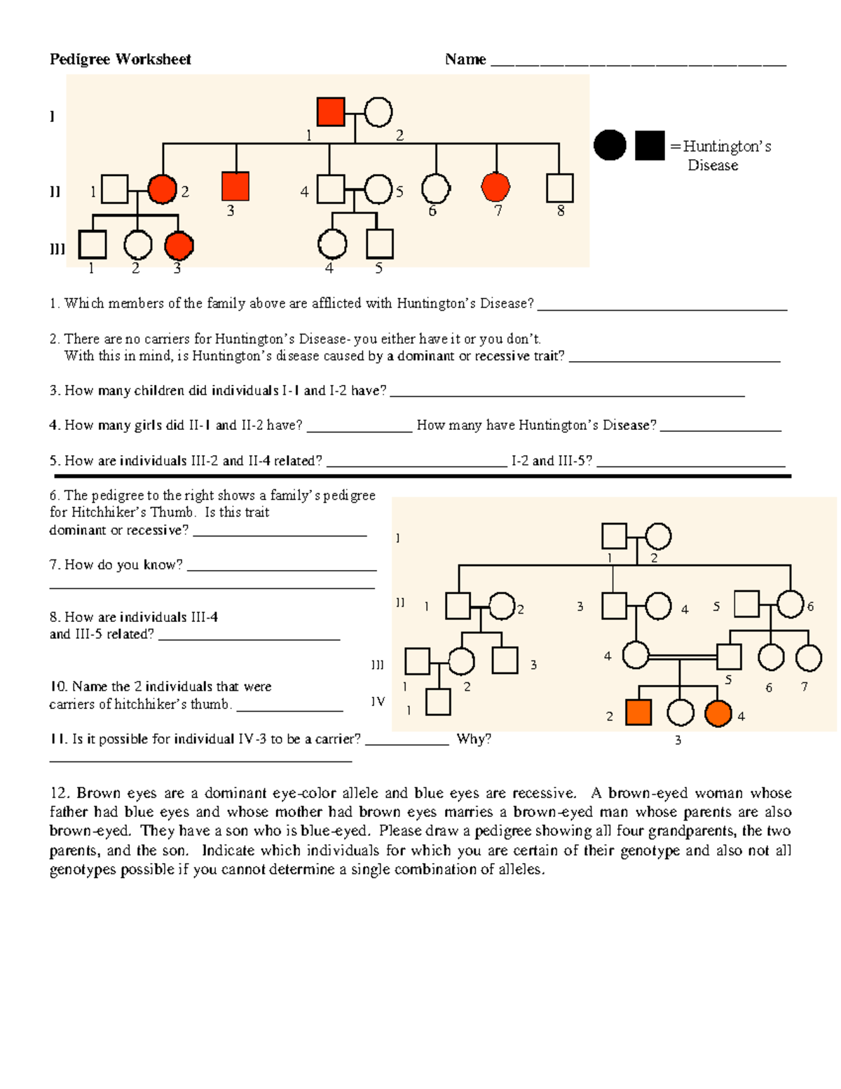Pedigree-Worksheet - nothing - Pedigree Worksheet Name