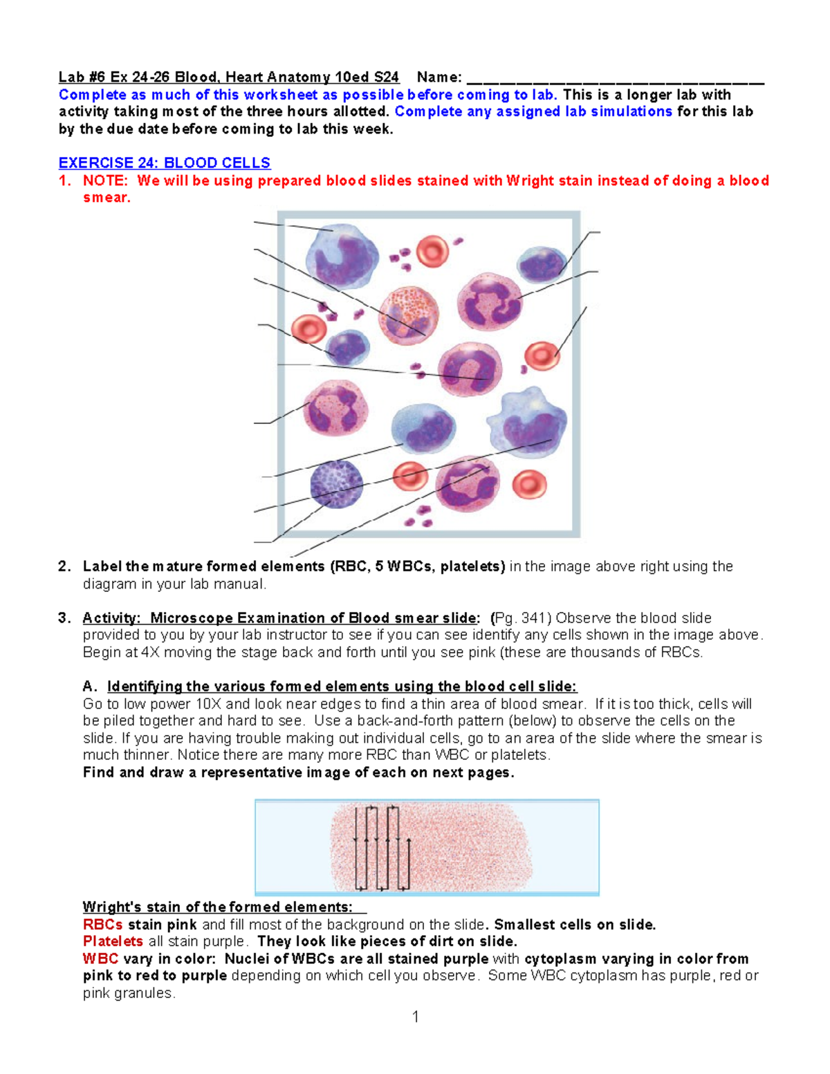AP LAB WORKSHEET - Lab #6 Ex 24-26 Blood, Heart Anatomy 10ed S24 Name ...
