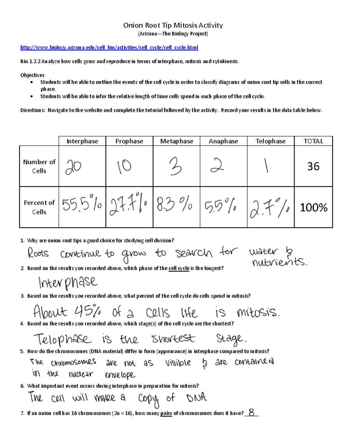 Onion Root Tip Revise 2019 mx Tud NW - Onion Root Tip Mitosis Activity ...