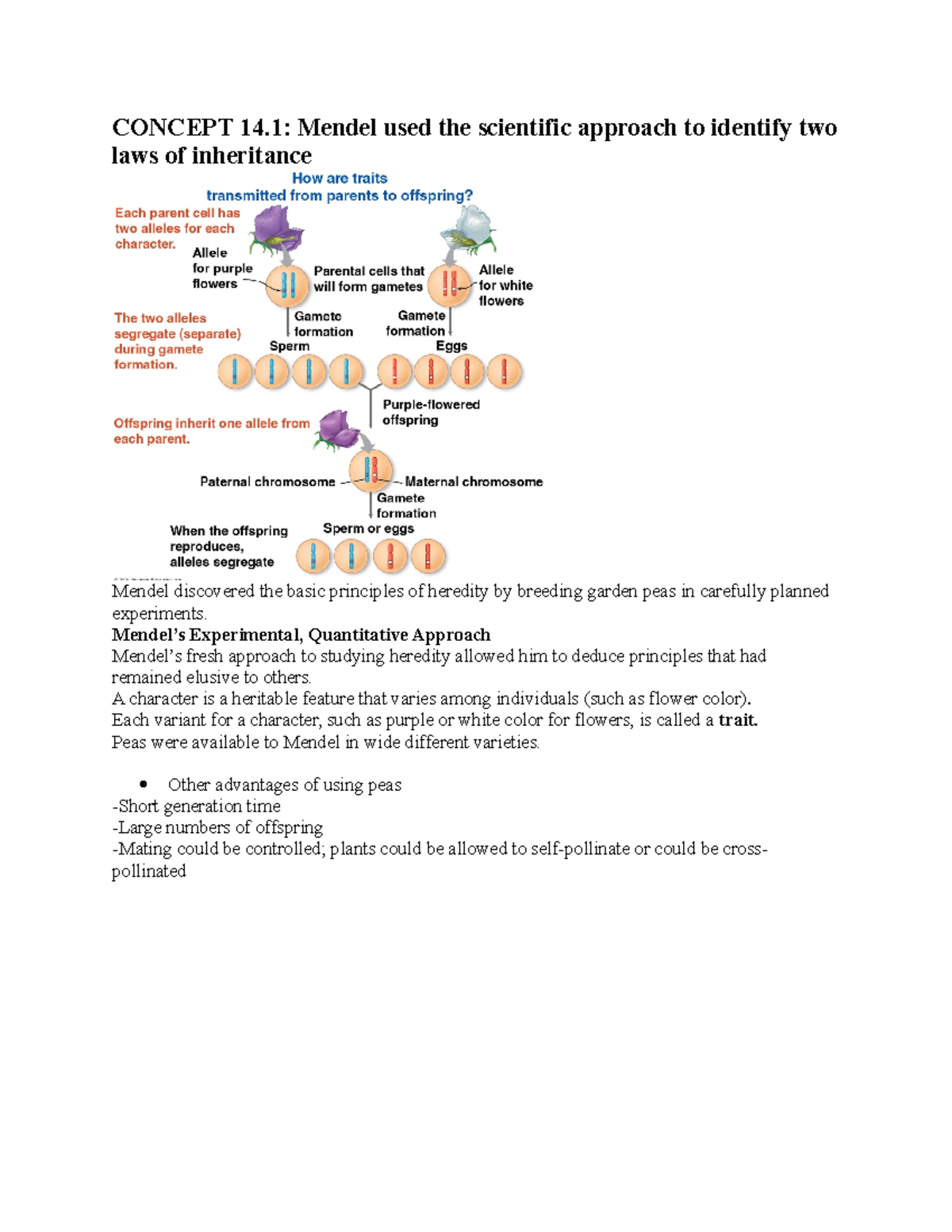 Concept 14 - Lecture notes from the Campbell Biology textbook. These ...
