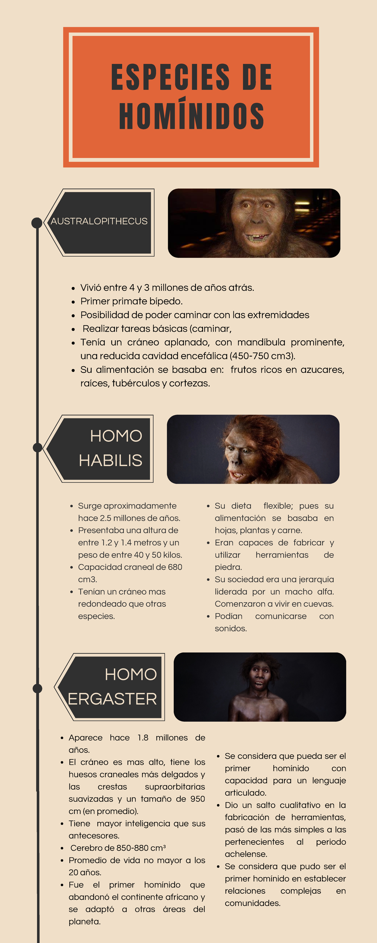 Especies DE Homínidos - linea del tiempo - AUSTRALOPITHECUS ESPECIES DE ...