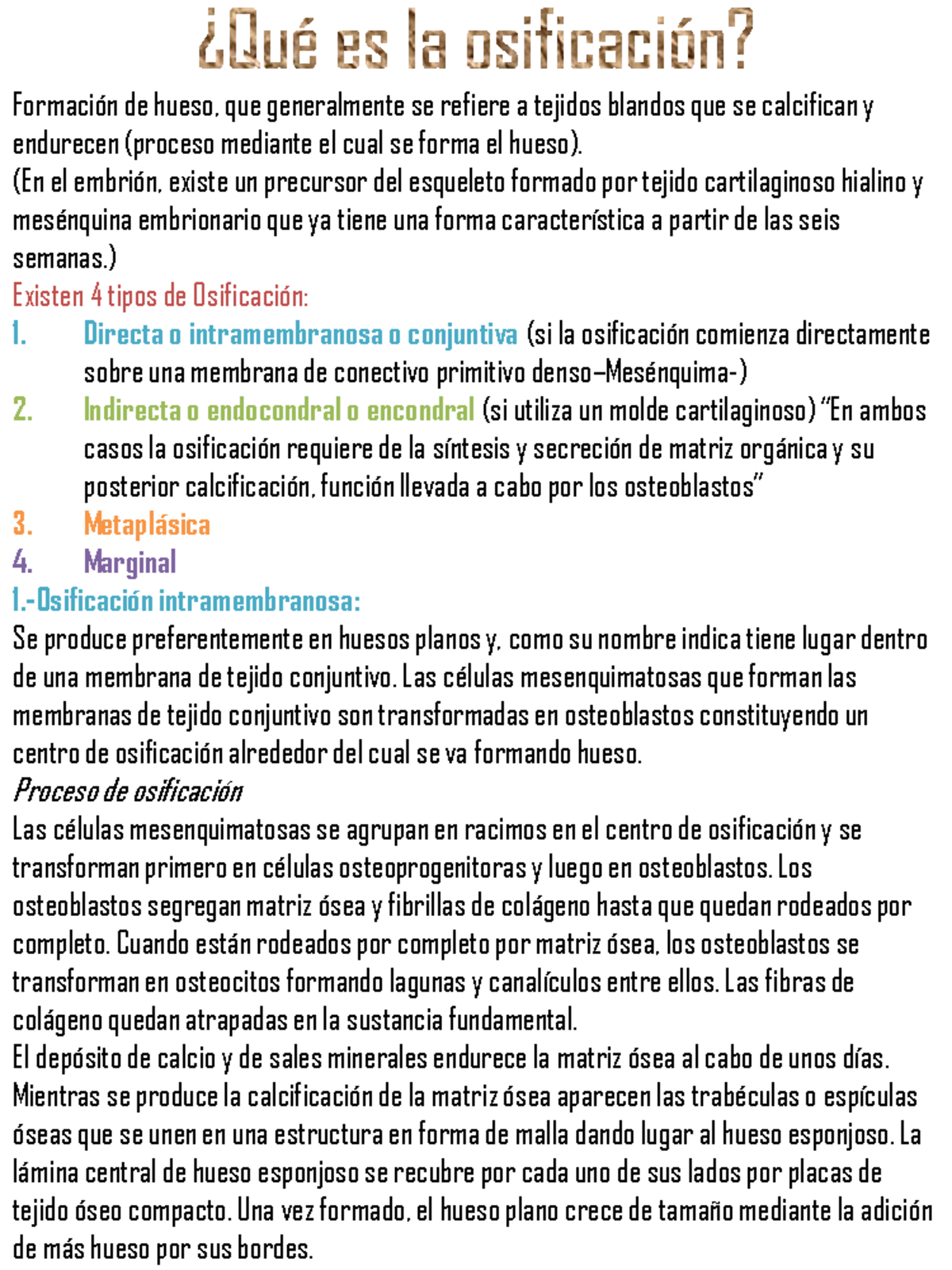 Tipos de osificación - Apuntes de apoyo - Formación de hueso, que ...