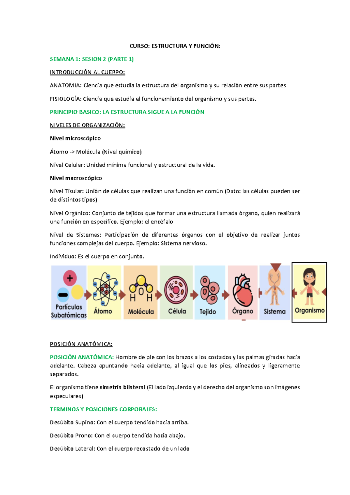 Semana 1 - Estructura Y Función - CURSO: ESTRUCTURA Y FUNCIÓN: SEMANA 1 ...