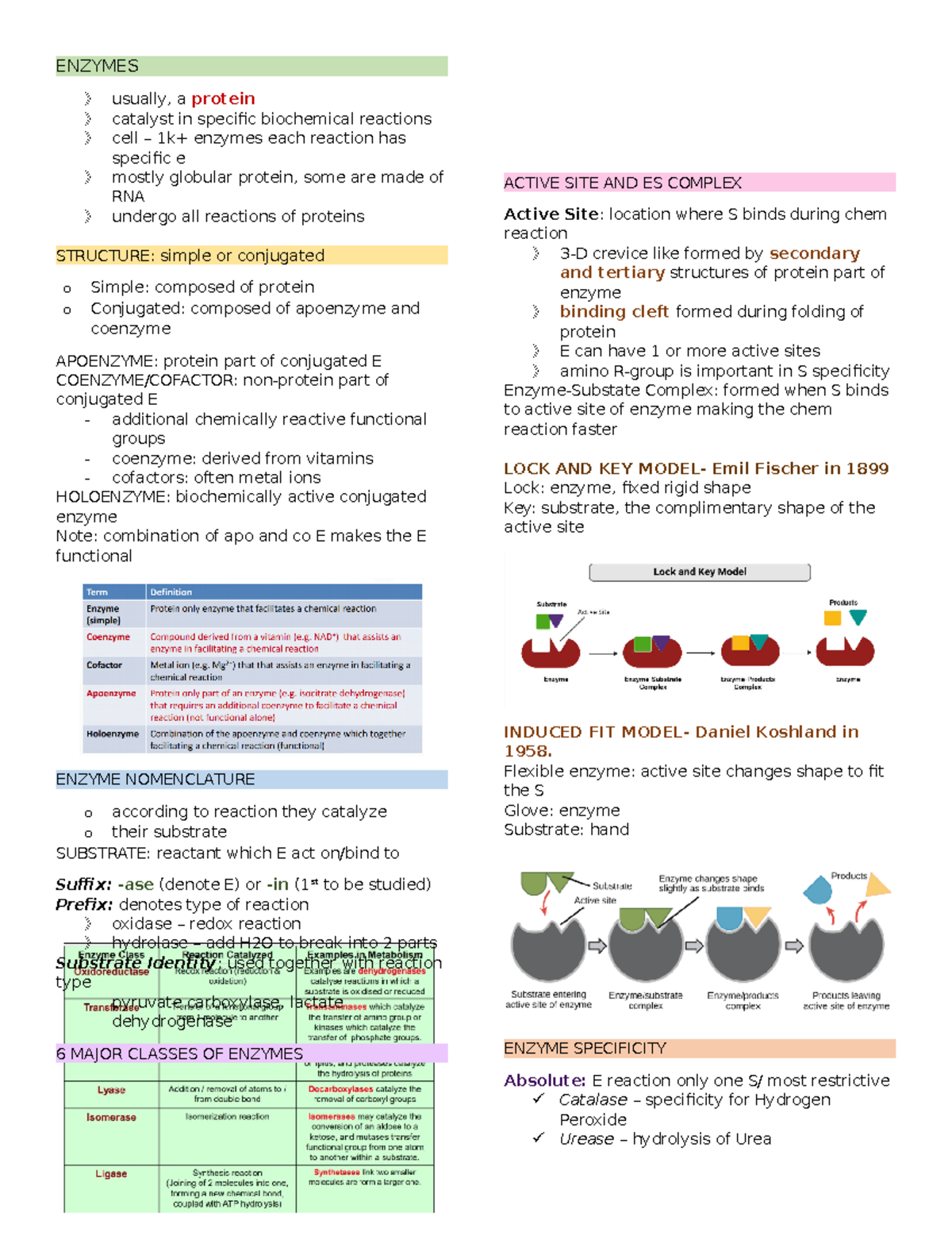 Biochem Enzyme - ENZYMES 》 usually, a protein 》 catalyst in specific ...