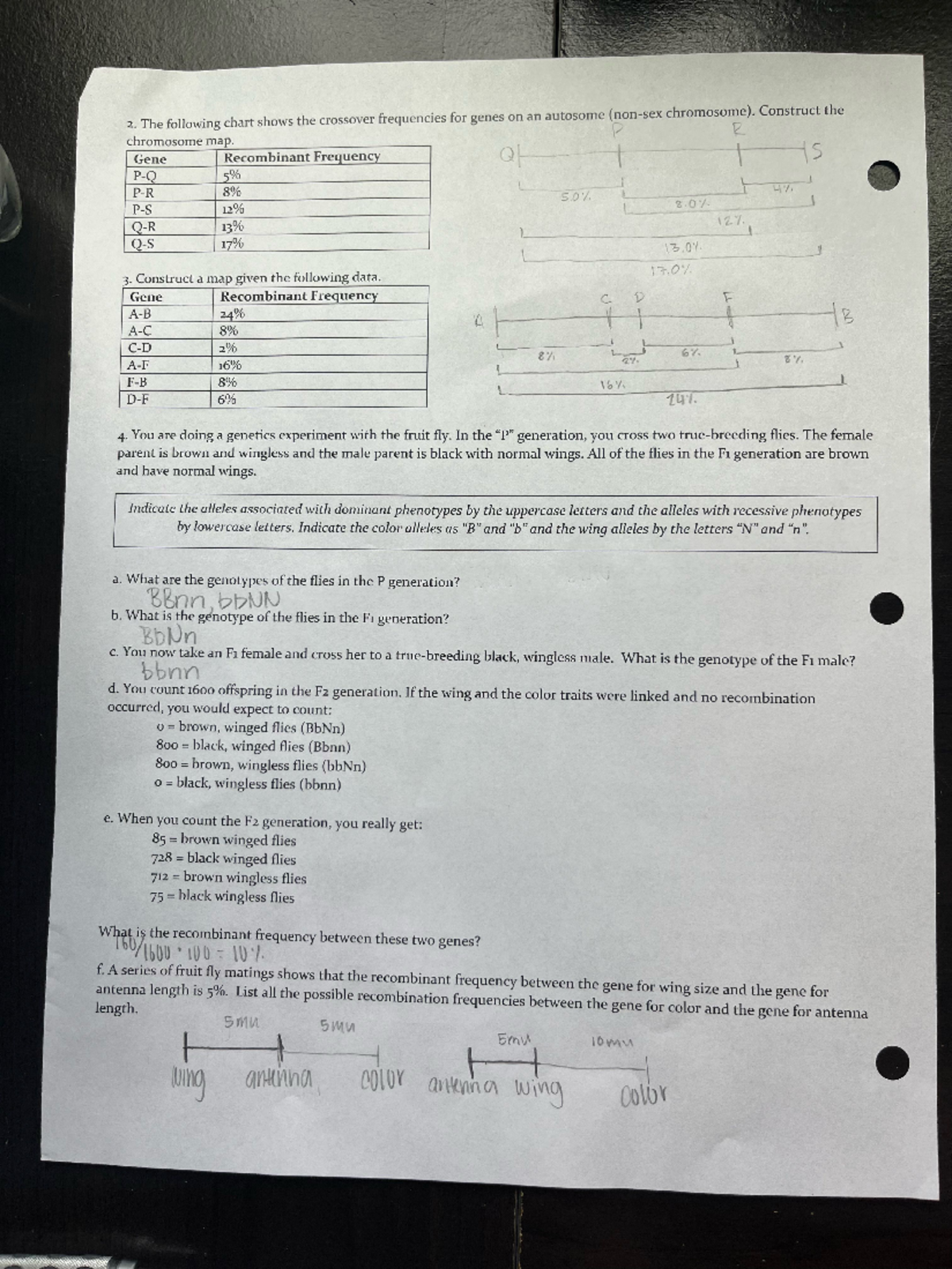IMG 1584 - How to create a chromosome map from crossover frequencies Ap ...