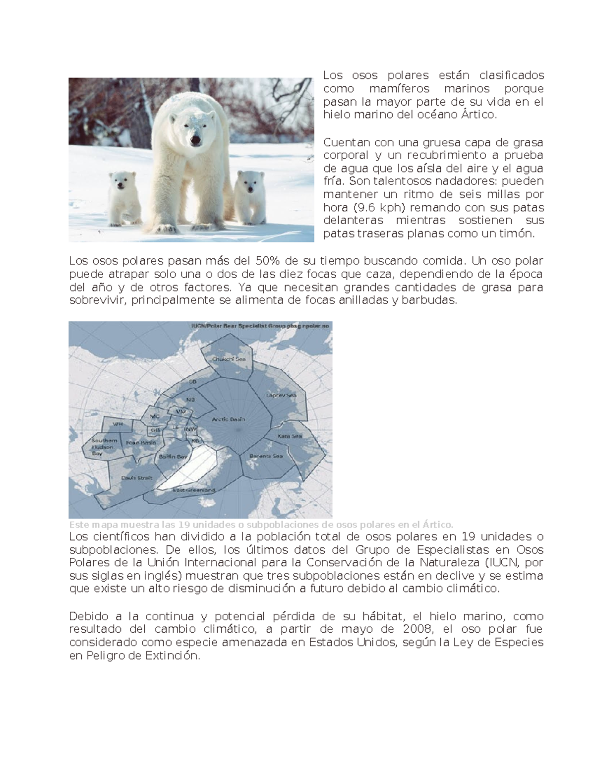 Oso polar - Los osos polares están clasificados como mamíferos marinos ...