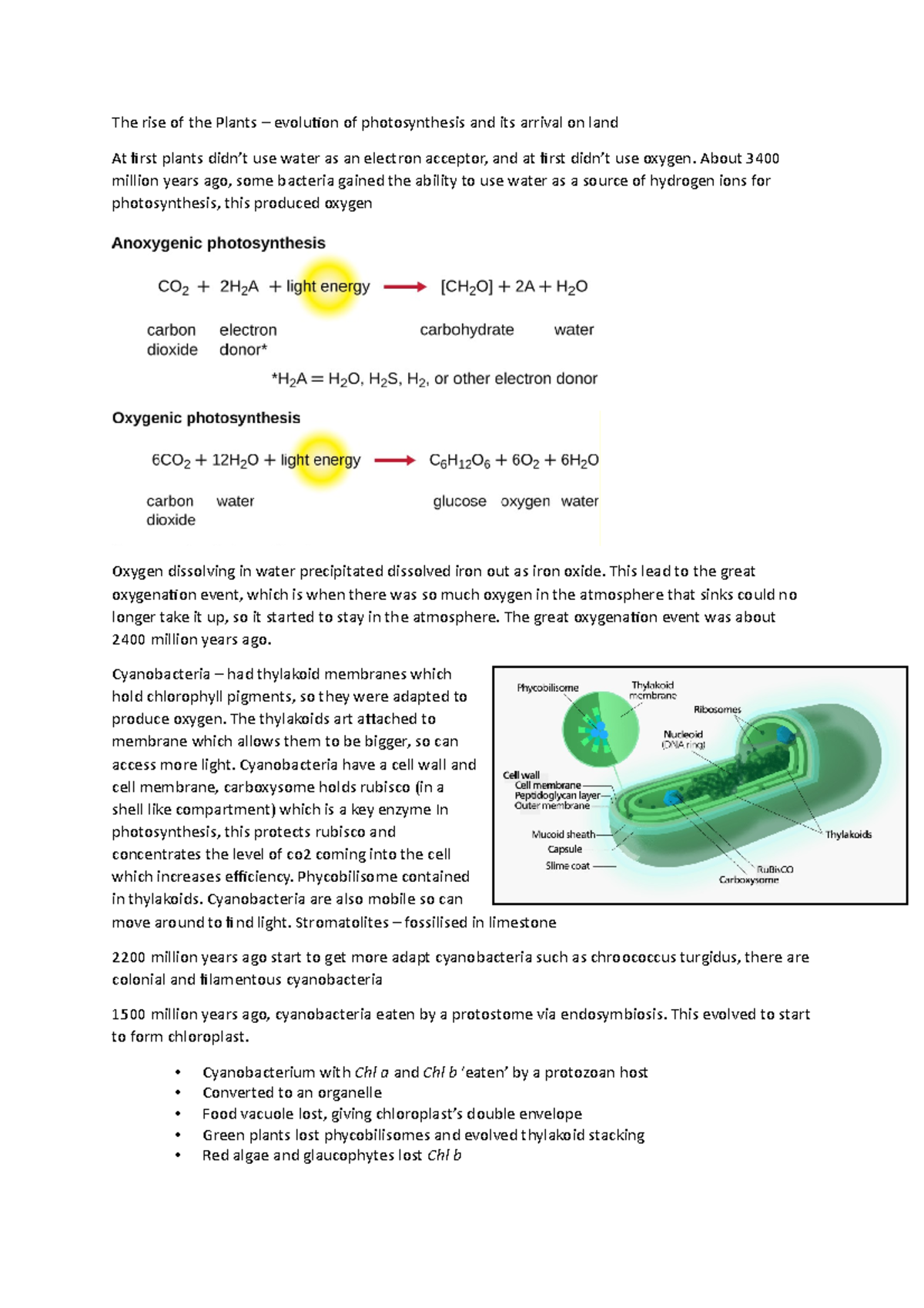 O&E lecture 6 - plants - The rise of the Plants – evolution of ...