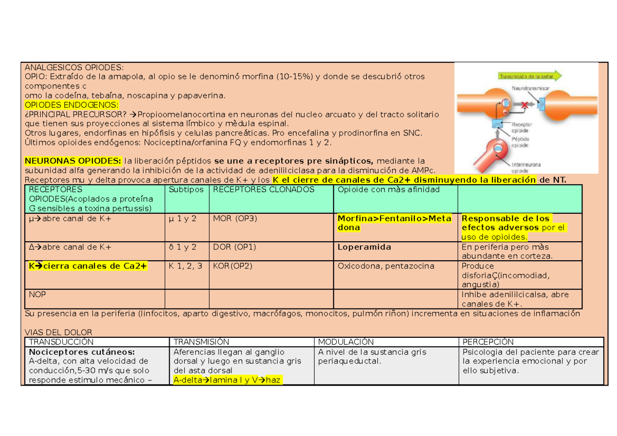 Analegesicos Opioides Espinoza Barrientos, Giordan Piaget - ANALGESICOS ...