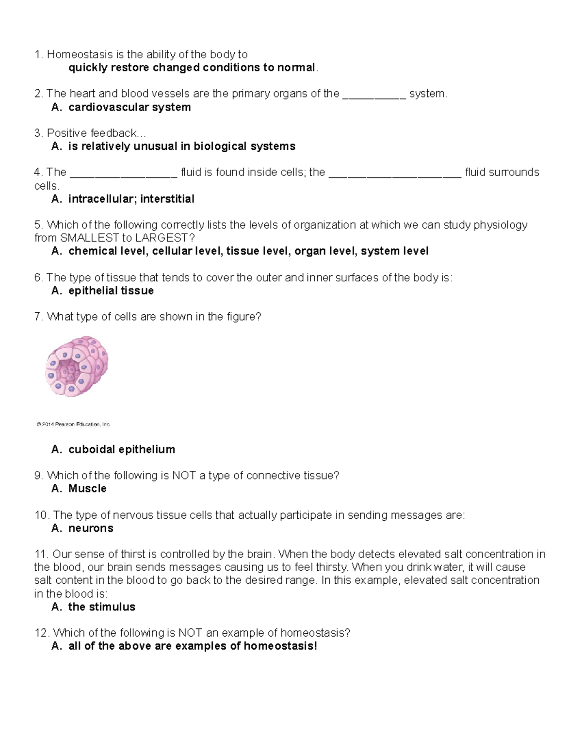 Practice questions for Midterm 2 WITH Answers - Homeostasis is the ...