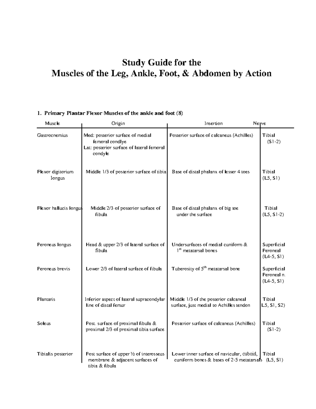 KIN 3463 Muscles of the Leg, Ankle, & Abdomen Study Guide (revised ...