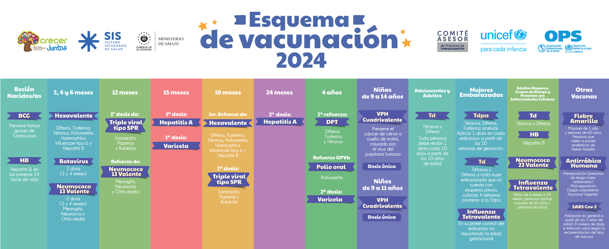 Esquema de vacunacion el salvador 2024 - de vacunación 2024 Esquema 2 dosis: Hepatitis ...