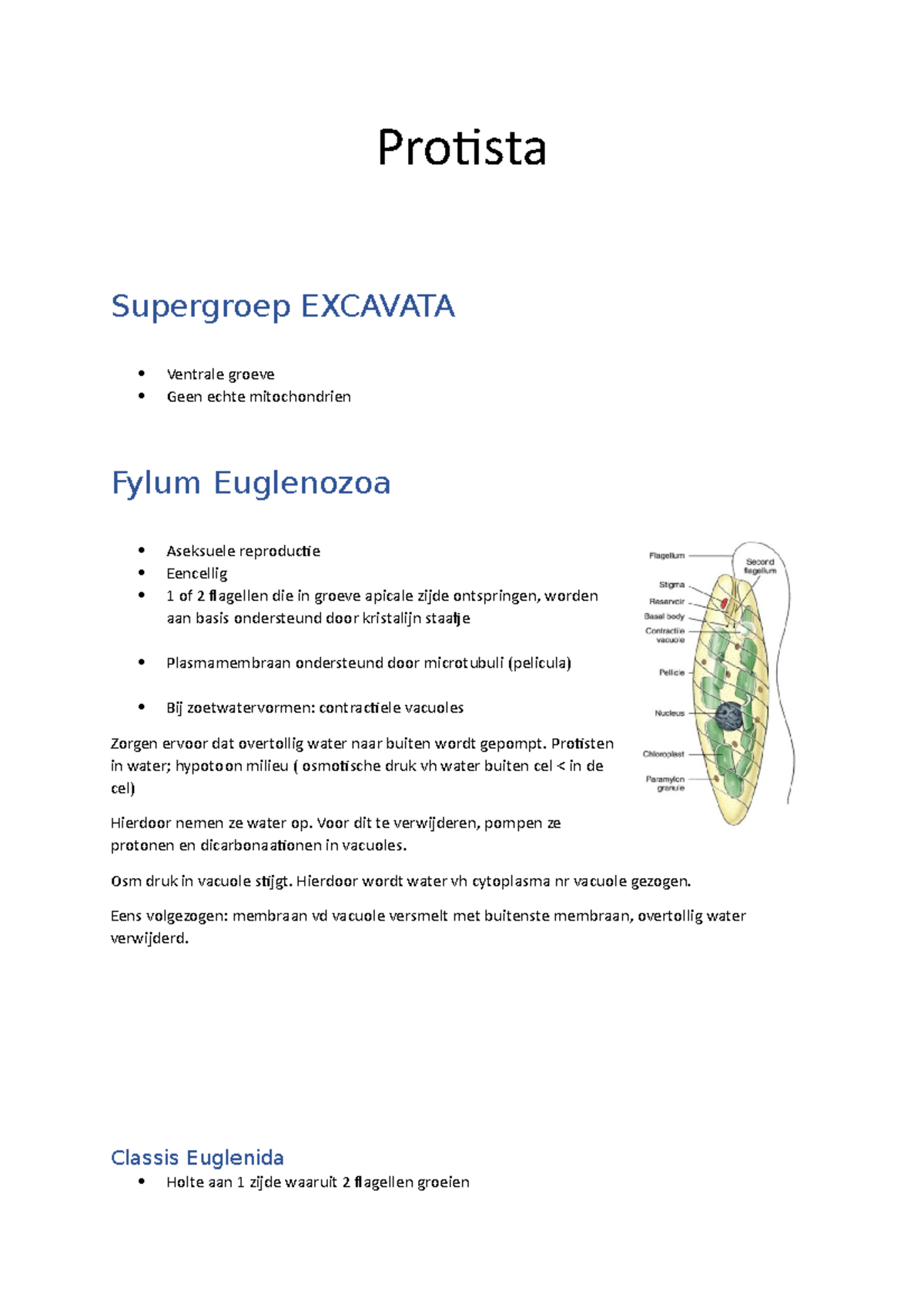 Samenvatting begin - bvvvvvvvvvvvvvvv - Protista Supergroep EXCAVATA ...