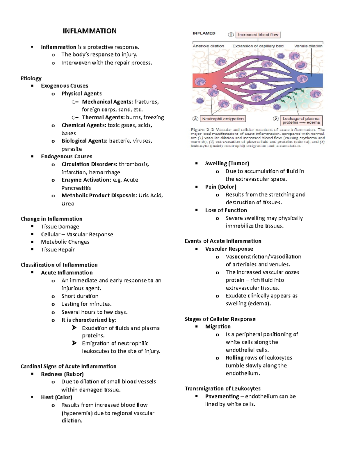 Inflammation-Hstopathology - INFLAMMATION o Results from increased ...