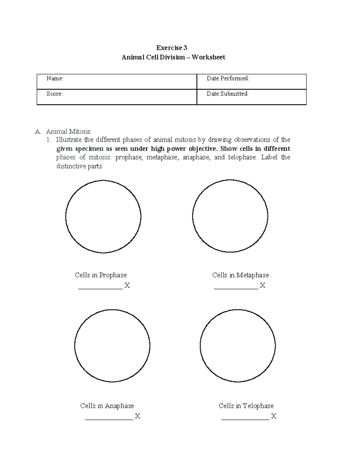Exercise 3 - Animal Cell Division Worksheet - Exercise 3 Animal Cell ...